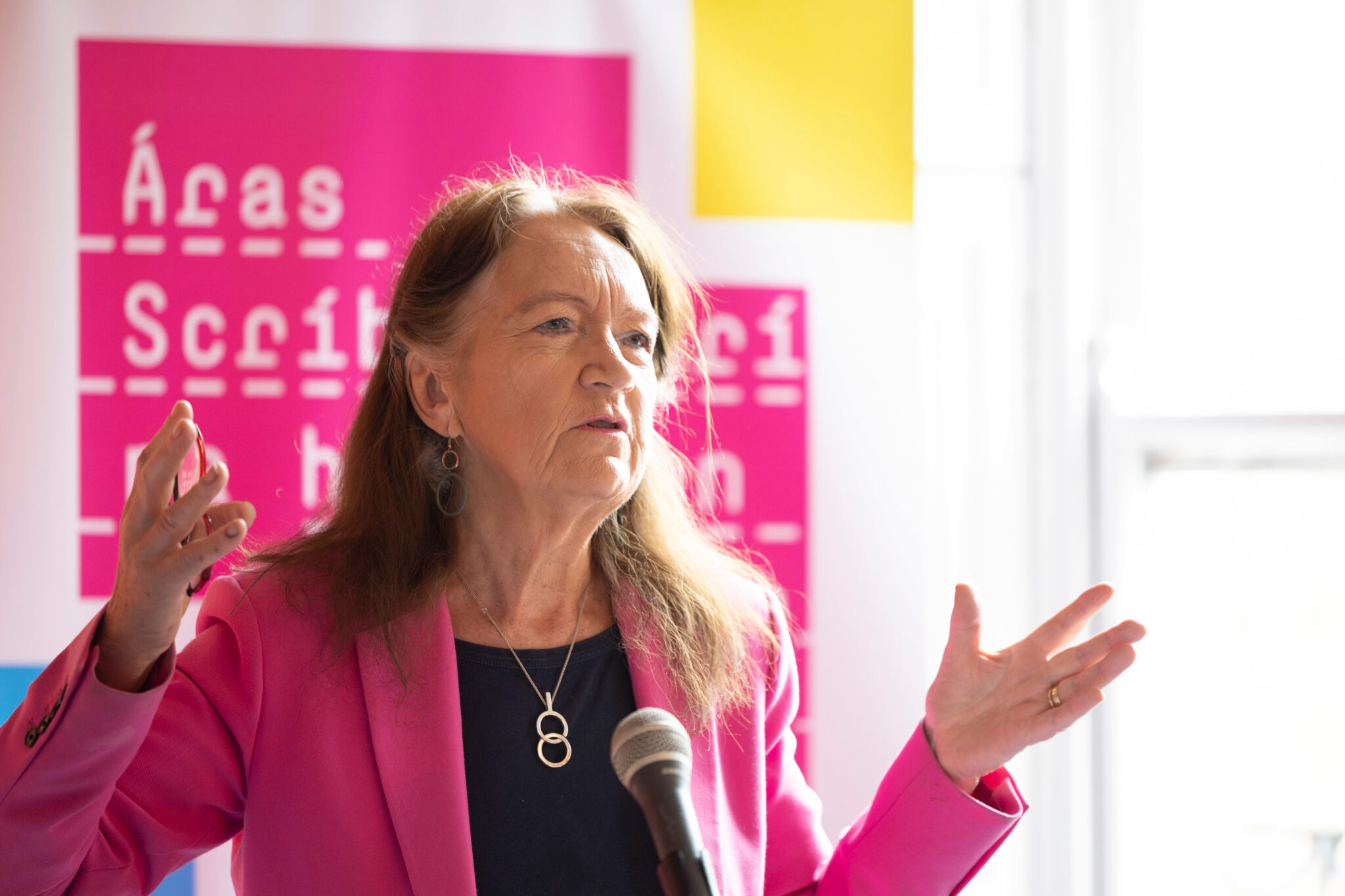 Irish Writers Centre 2022-2026 Strategy - Irish Writers Centre : Irish ...