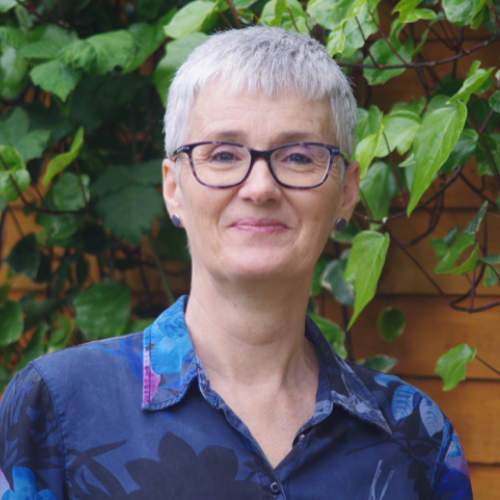 Meridian: Finding Your North Star with Anne Tannam - Irish Writers ...