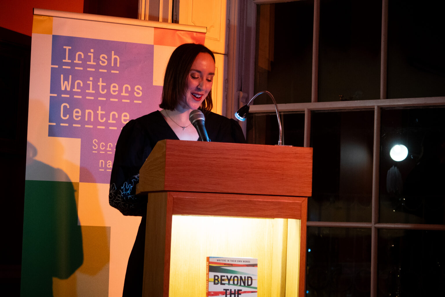 Looking back on 2024... - Irish Writers Centre : Irish Writers Centre