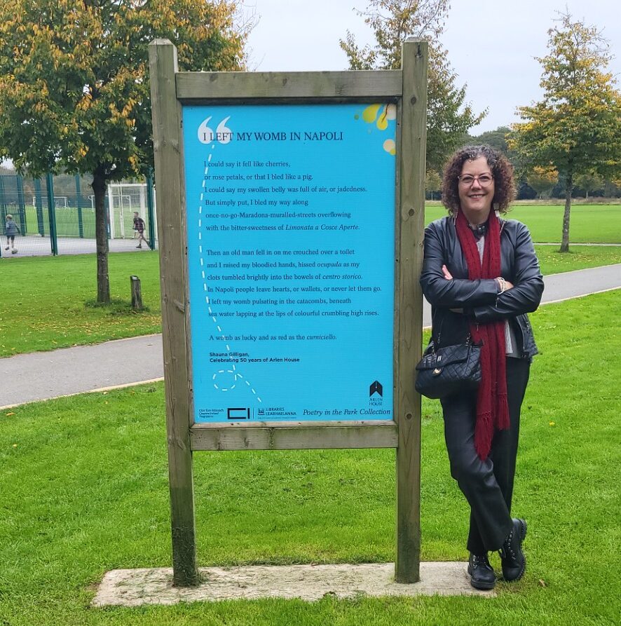 A Pair of Workshops on Characterisation with Shauna Gilligan - Irish ...